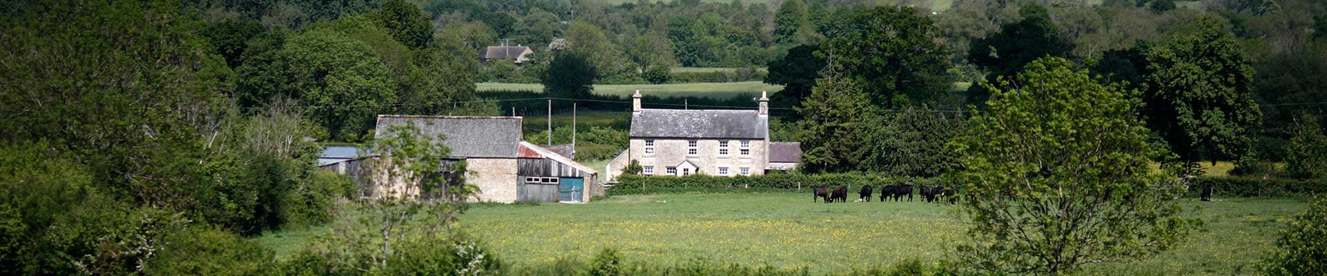 Robinson & Hall - Rural Property Management